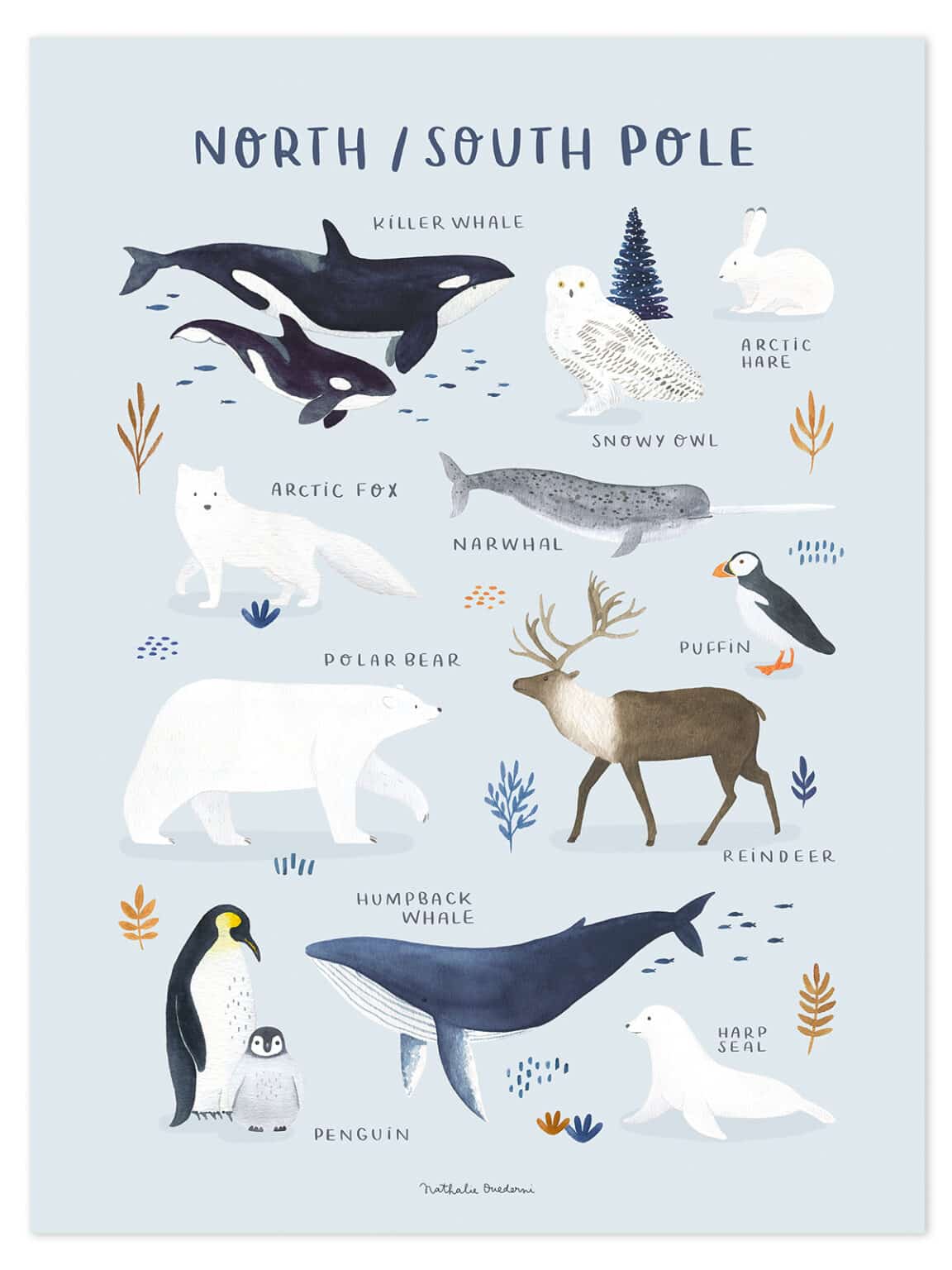 Lilipinso Living Earth Poster - Dieren van de Noord- en Zuidpool ...