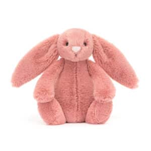 Jellycat Bashful Knuffel Konijn Bunny Sorrel Little - Grasonderjevoeten.nl
