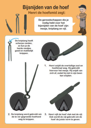 Crafty Ponies Hoefsmid set met hoefijzers incl. instructieboekje